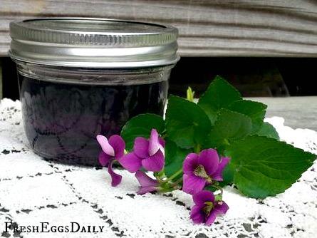 Make your own Violet Soda from your Garden - Grit
